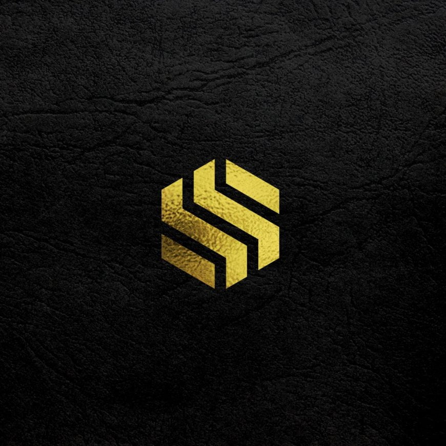 Modern S letter Logo – GraphicsFamily