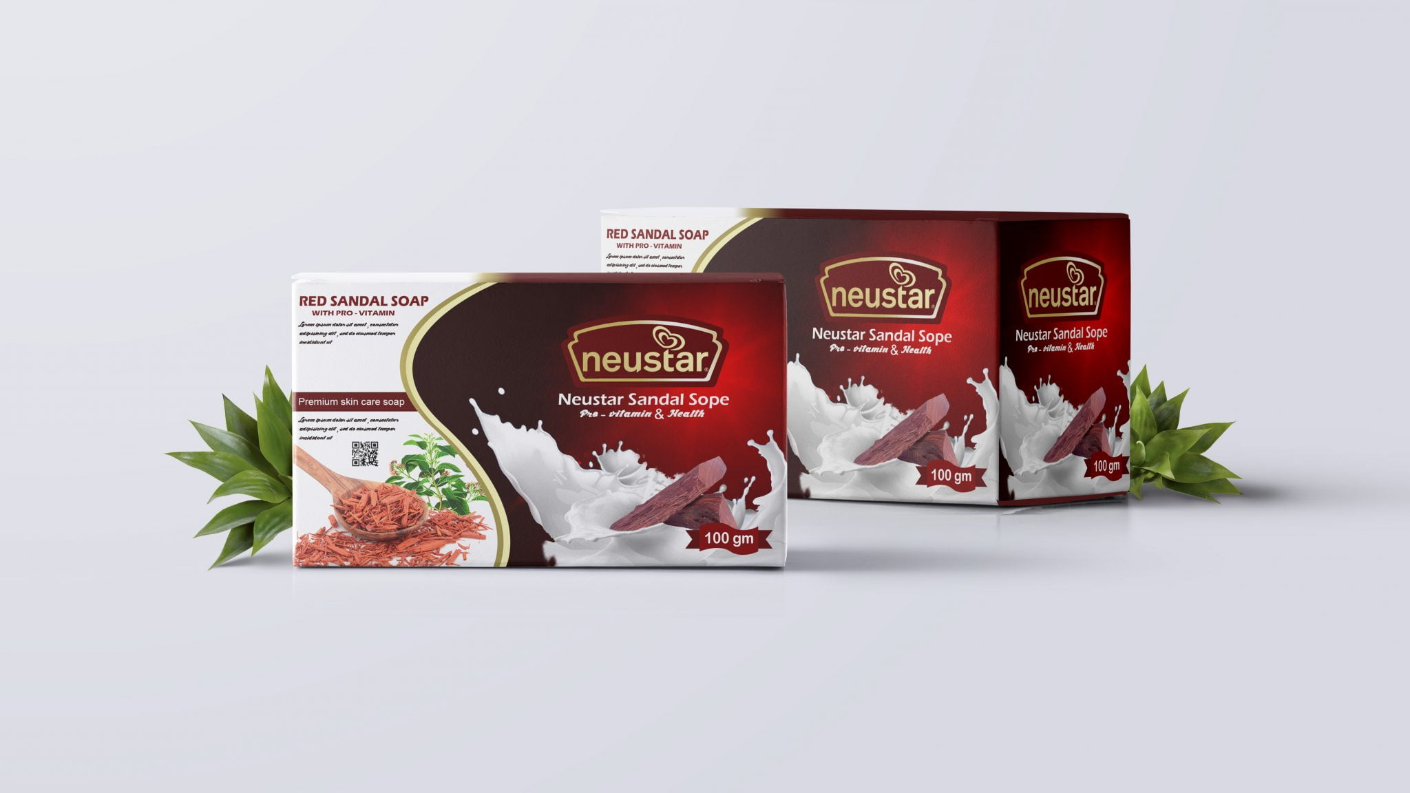 Soap Packaging Design Template
