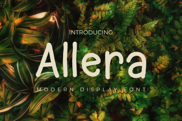 Allera Display Font – GraphicsFamily
