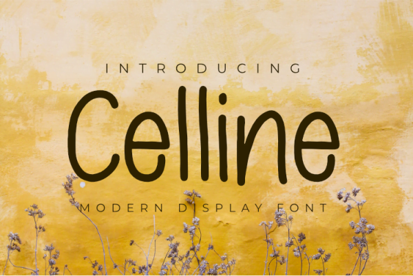 Celline Display Font – GraphicsFamily