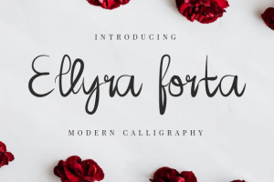 Ellyra Forta Font – GraphicsFamily