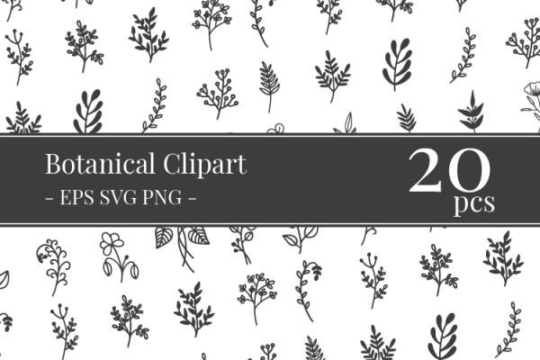 Free Botanical Vectors Clipart Bundle – GraphicsFamily