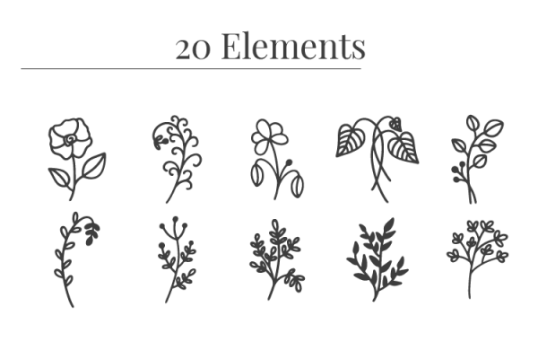 Free Botanical Vectors Clipart Bundle – GraphicsFamily