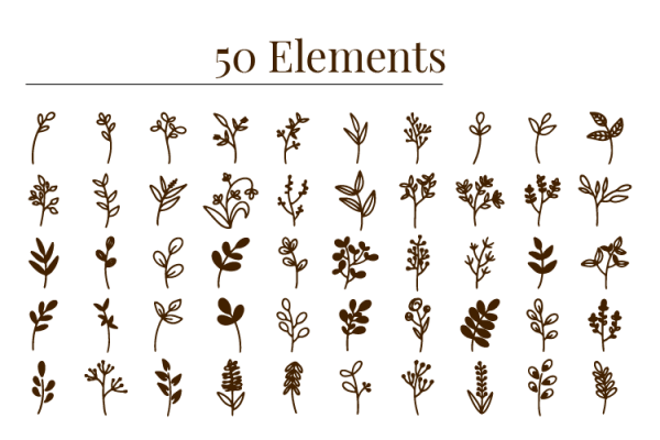 Hand drawn floral decorative elements free vector – GraphicsFamily