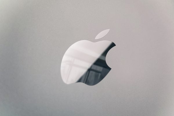 Fine Shine Logo Mockup – GraphicsFamily