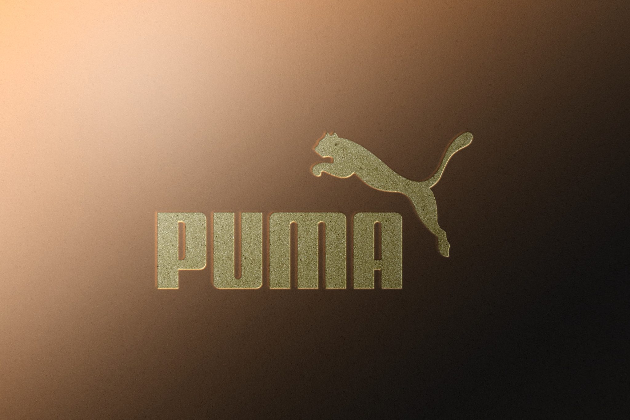 Elegant Color Logo Mockup – GraphicsFamily